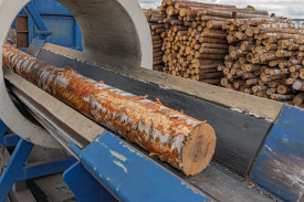 Lumber | Industry | Beltservice Corporation