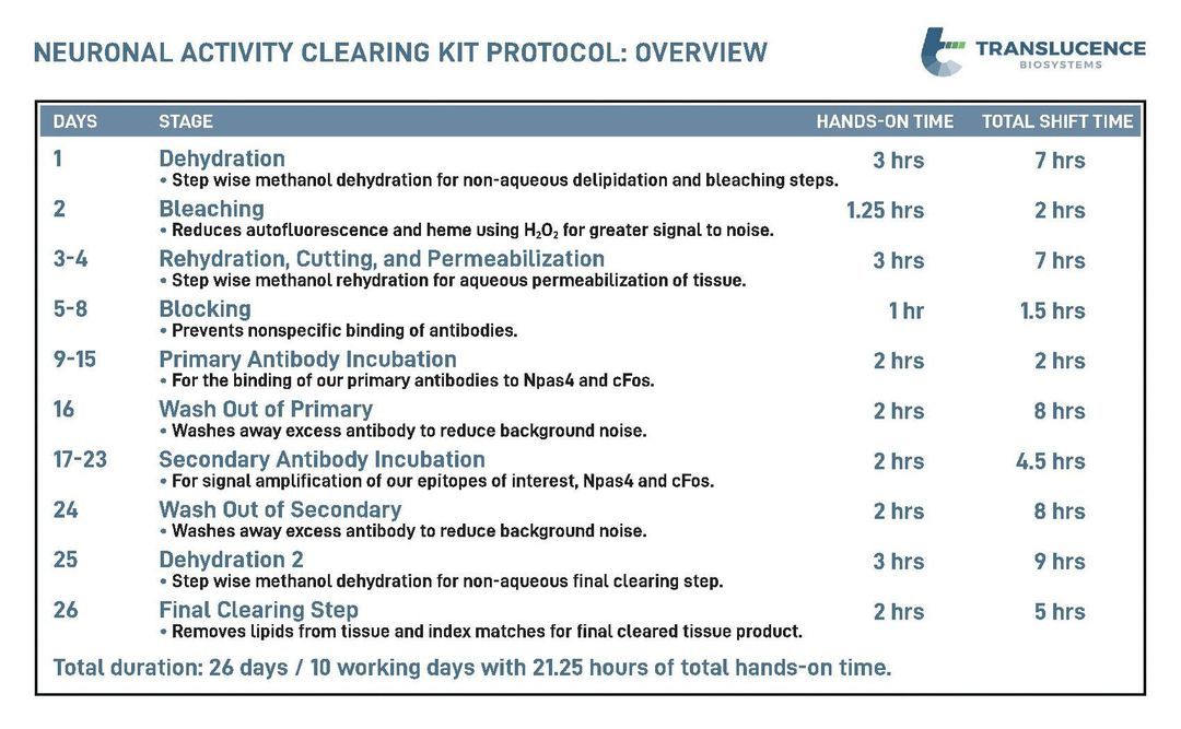 Neuronal Activity Tissue Clearing Kit | Brain-Wide Cellular Resolution ...