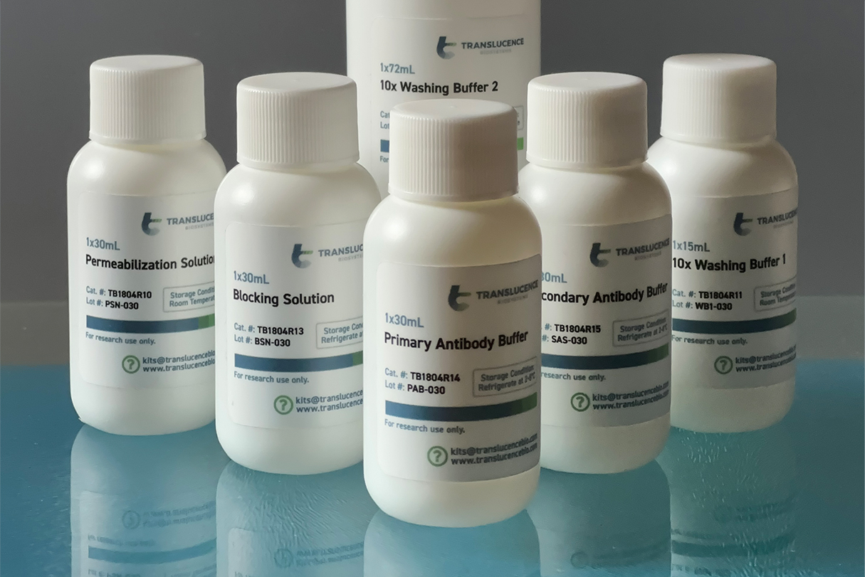 Neuronal Activity Tissue Clearing Kit | Brain-Wide Cellular Resolution ...