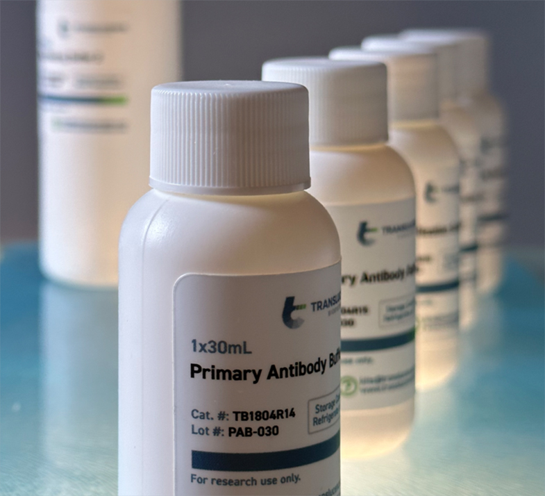 Universal Tissue Clearing Kit | Straightforward iDISCO-Based Clearing