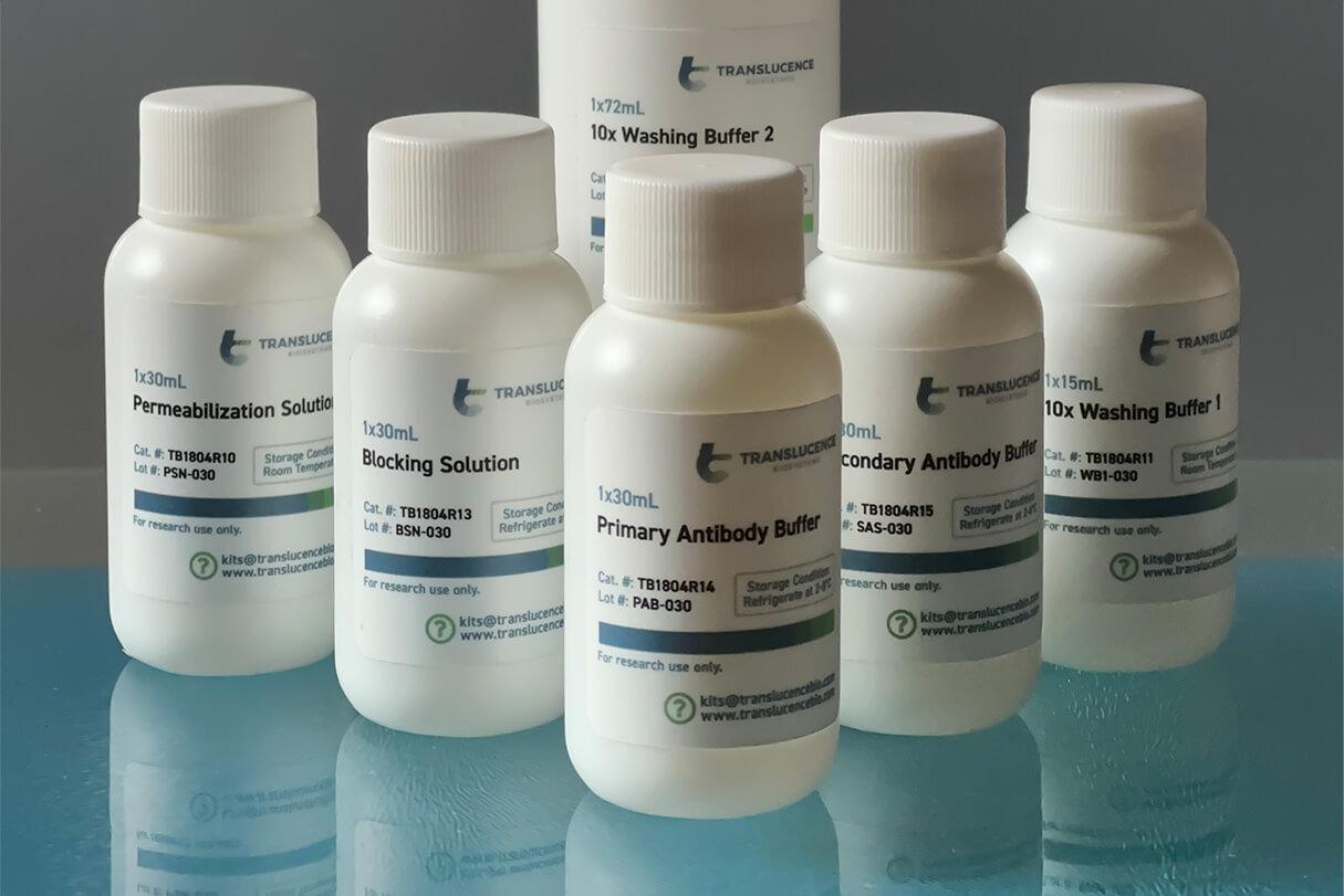 Neuronal Activity Tissue Clearing Kit | Brain-Wide Cellular Resolution ...