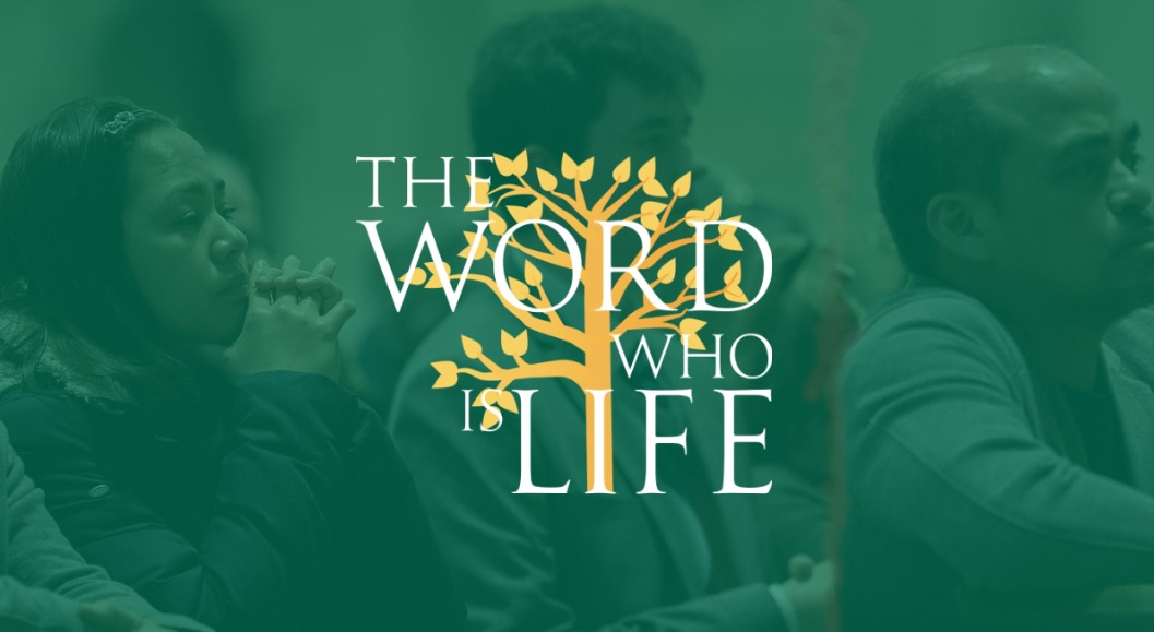 May 2024 Pastoral Plan update from Canon Kieron O'Brien | News