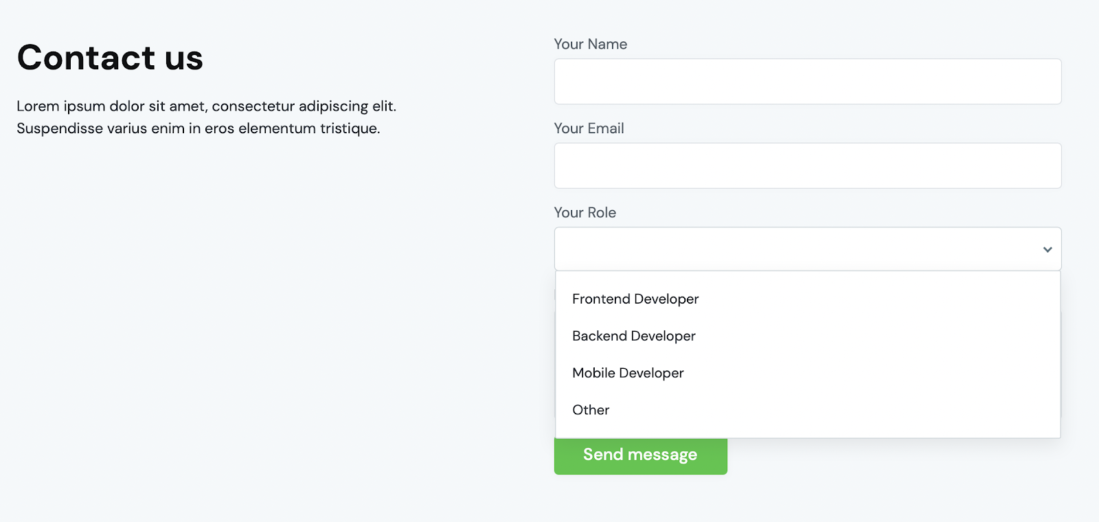 Designing Custom Form Dropdowns in Webflow