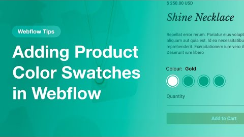 Adding Product Color Swatches in Webflow Ecommerce | Webflow Video