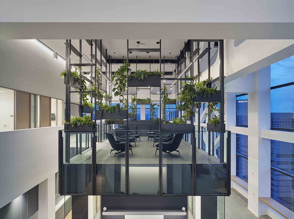 Studio Other | Office Trends: 5 Ways to Implement Nature in the Workplace