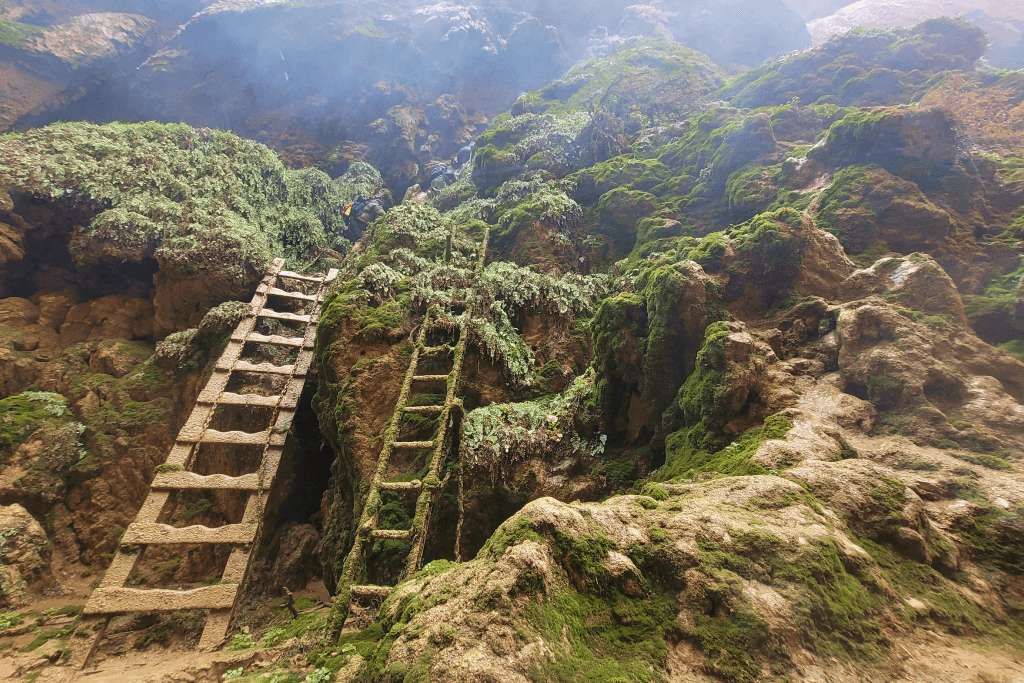 9 Travel Tips You Need to Know to Hike to Havasupai Falls in 2024