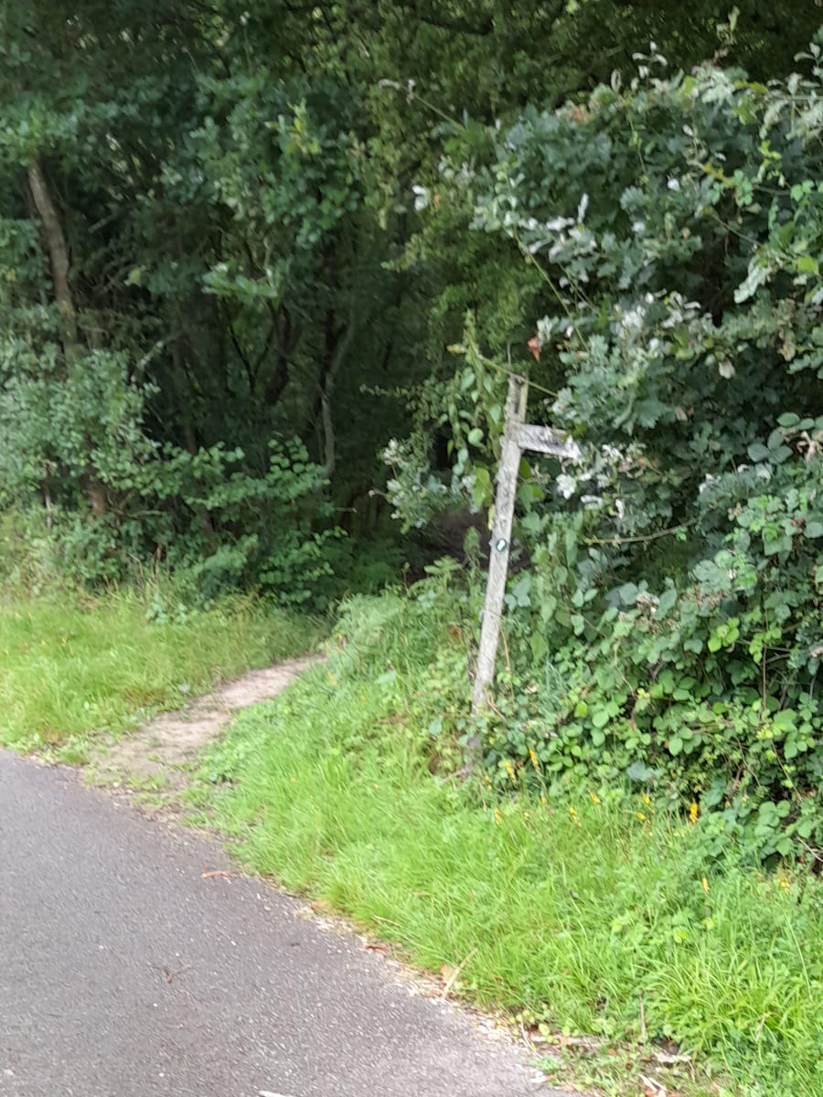 Dog Walk at Stone Farm Rocks & Kingscote Circular