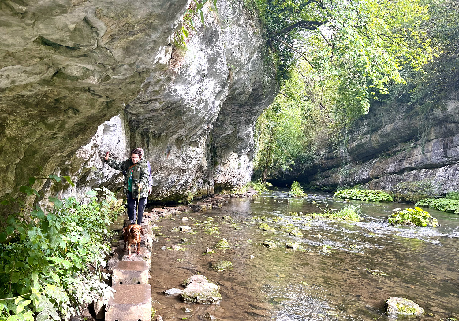 Dog Walk at Cheedale Stepping Stones - Peak District