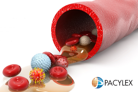 Major Grant Awarded to Study PCLX-001 in Acute Myeloid Leukemia Patients