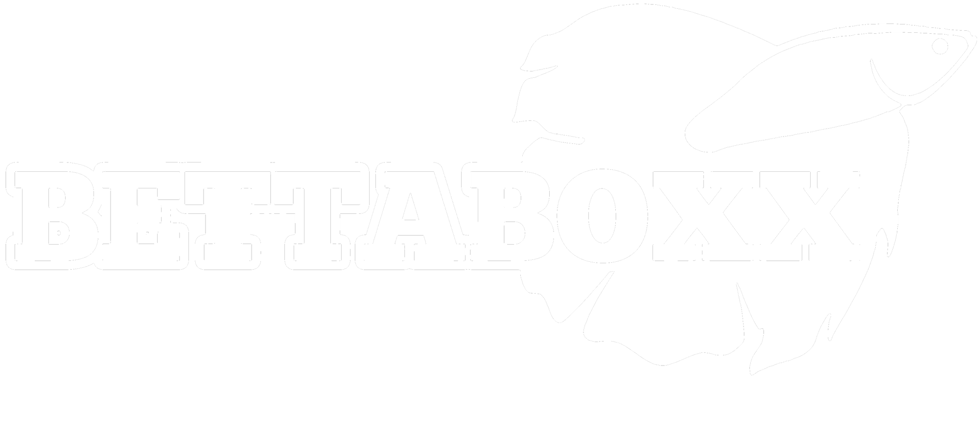 How to treat betta dropsy - Bettaboxx