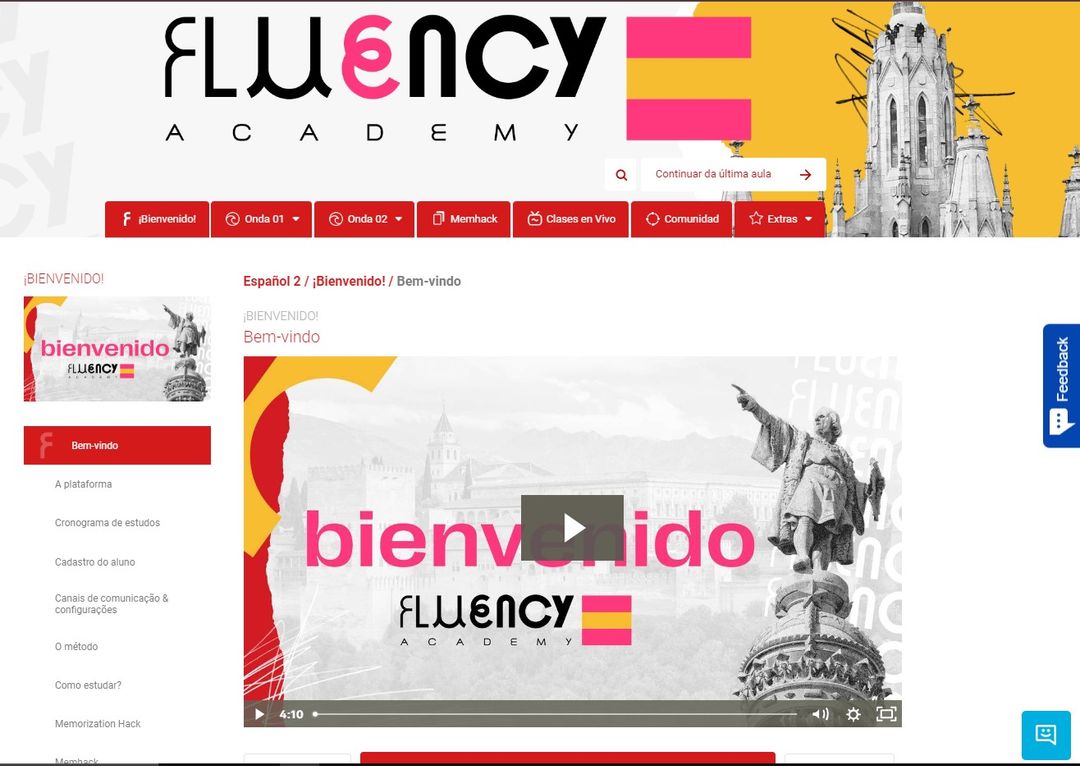 Fluency Academy