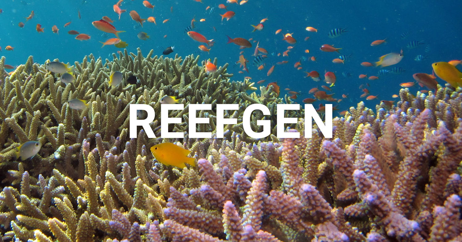Reefgen