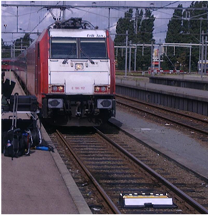 Inspection & Search Products