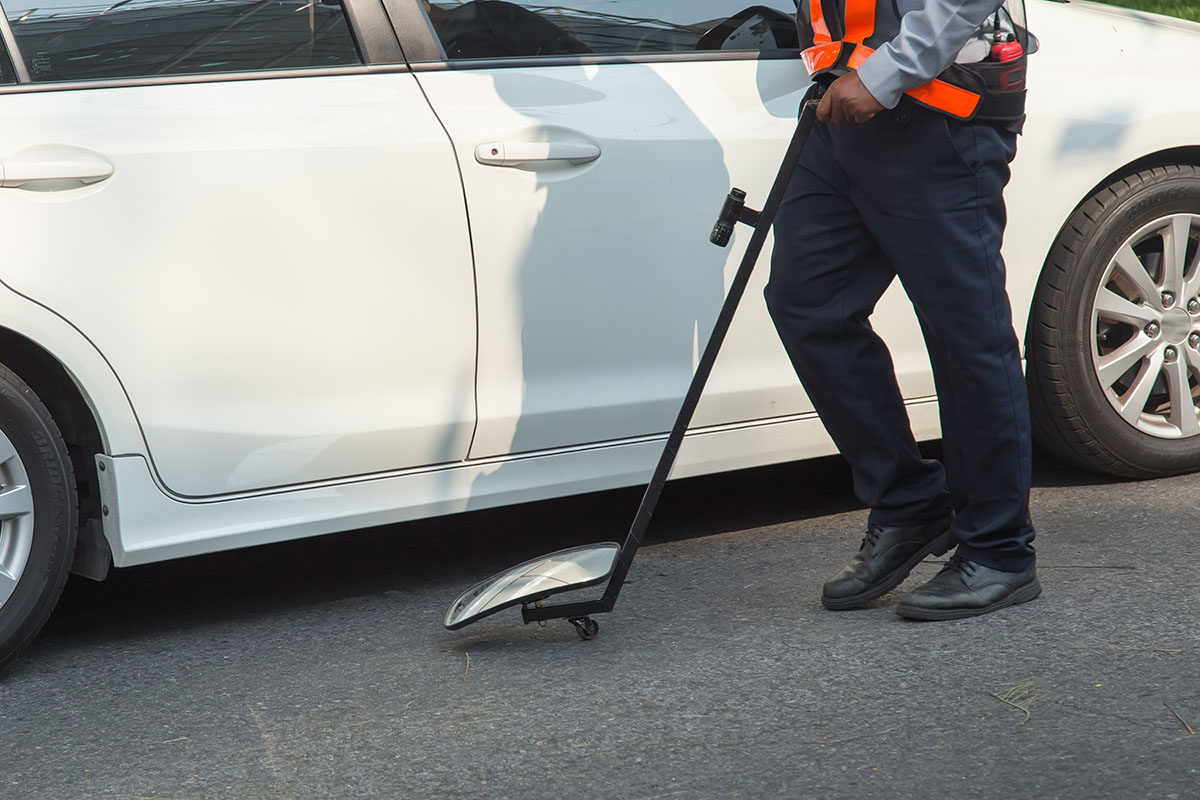 Inspection & Search Products