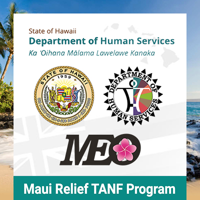 Resource: Apply for the Maui Relief Temporary Assistance for Needy ...