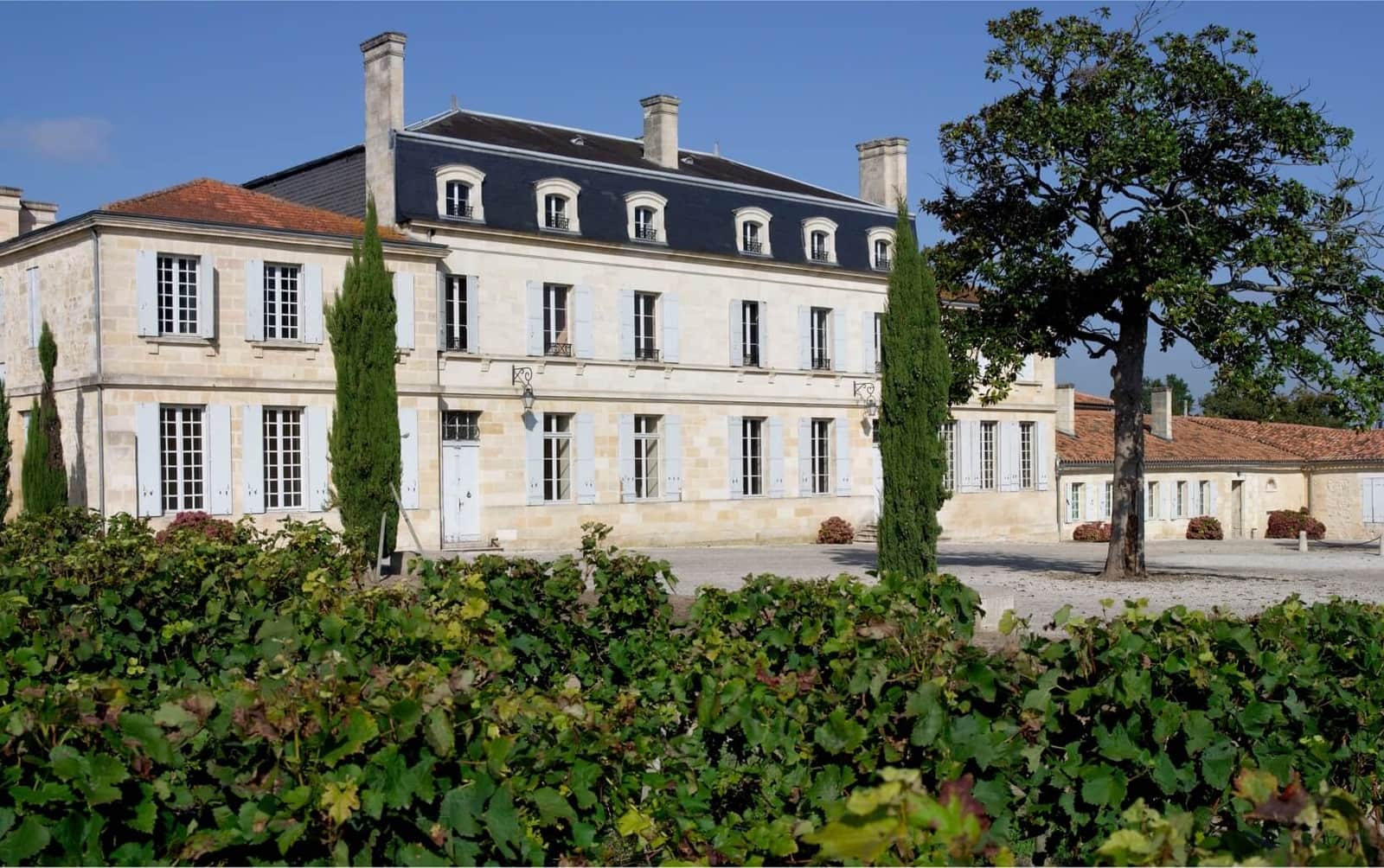 Private Wine & Spirits Imports - Mark Anthony Group