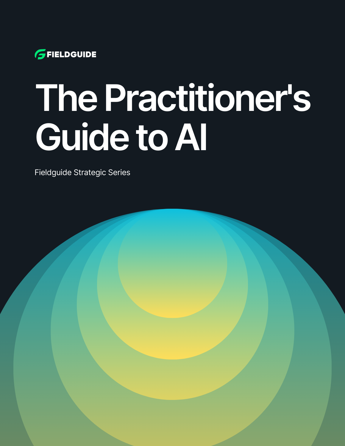Practitioner's Guide to AI