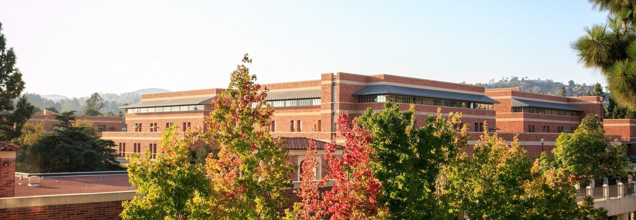 What Are the Best Part-Time MBA Programs?