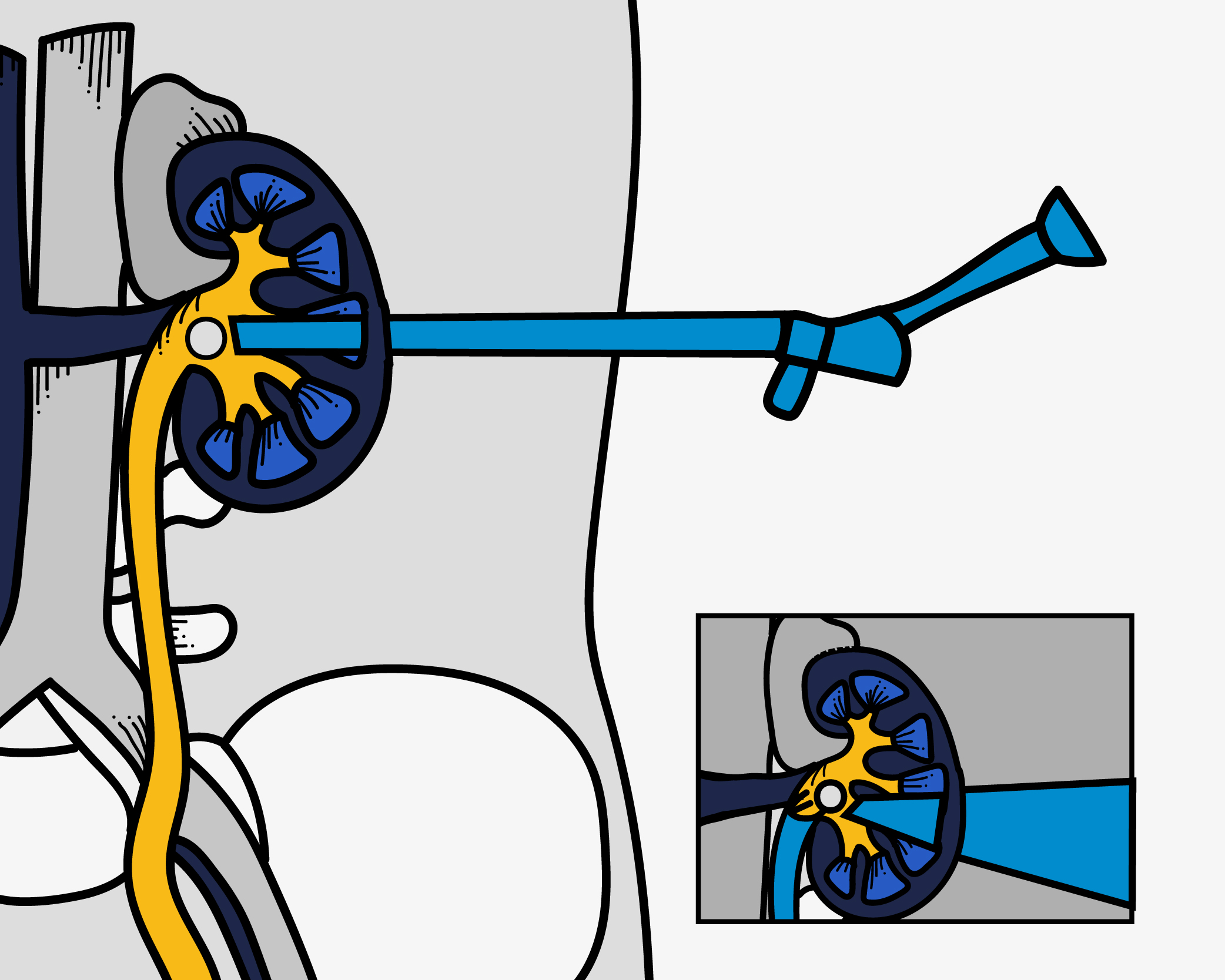 NextMed - Treatment Options