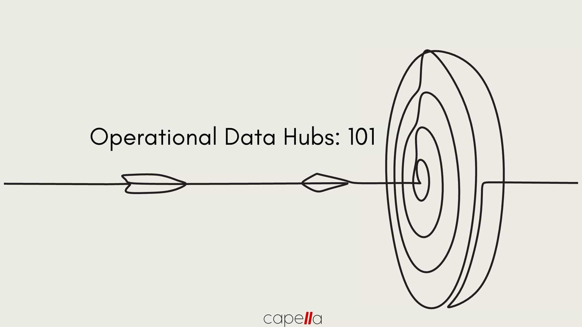 Operational Data Hubs: 101