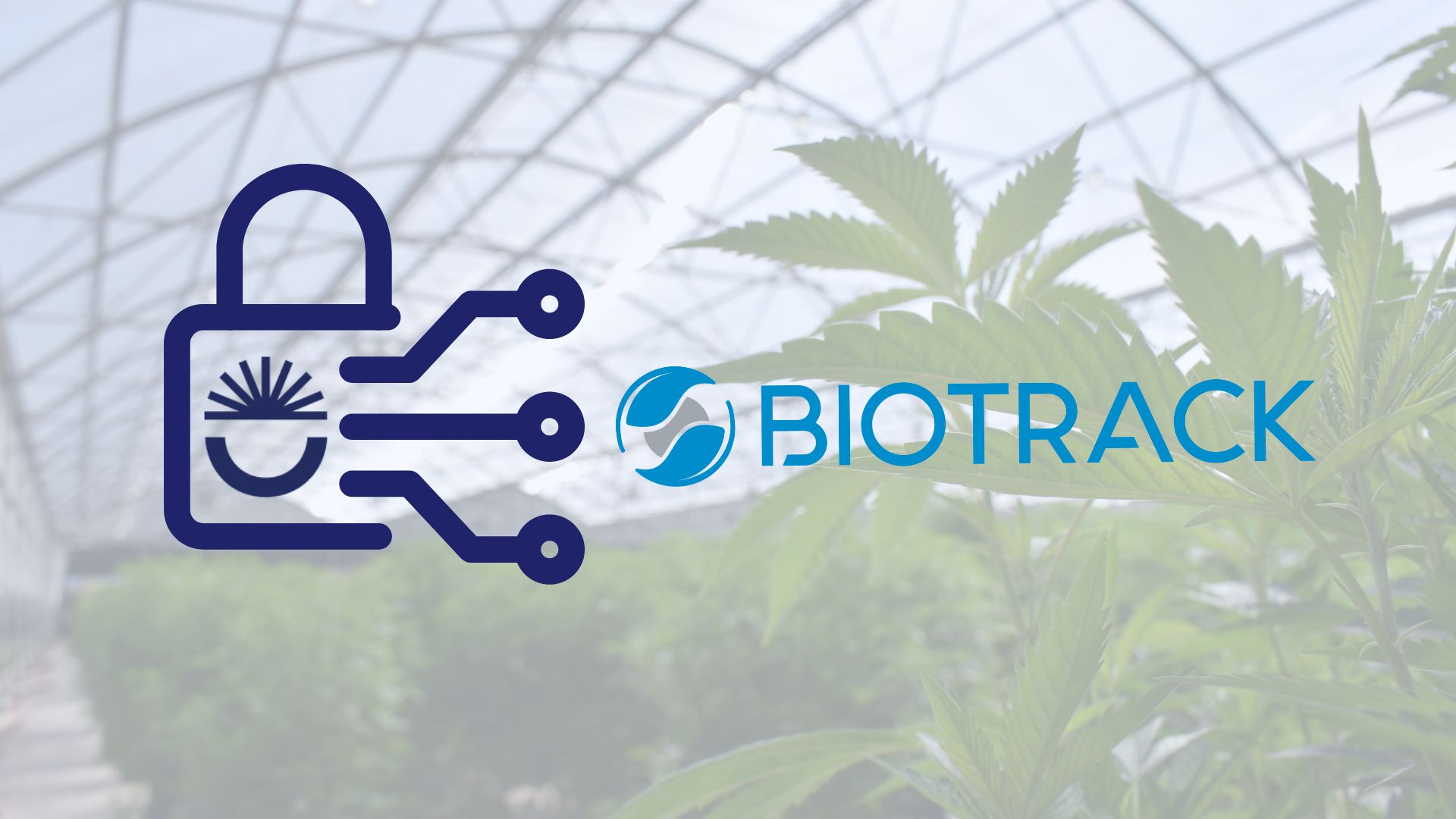 Canix's Integration with Biotrack is Live