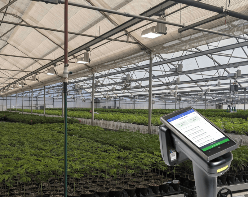 Canix | Cannabis ERP and Seed-to-Sale Software