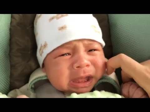 Nick Winter's Blog | Video: Max's First Year