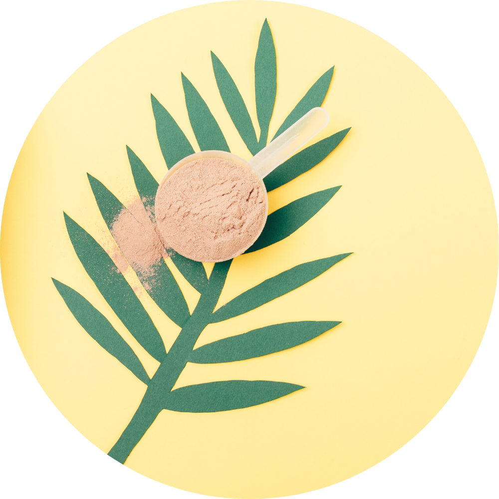 Protein Bar Reviews | Best Protein Bars