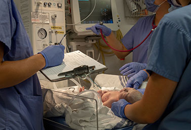 Inside The NICU: What Are The Different Levels Of Neonatal Care? Here's ...