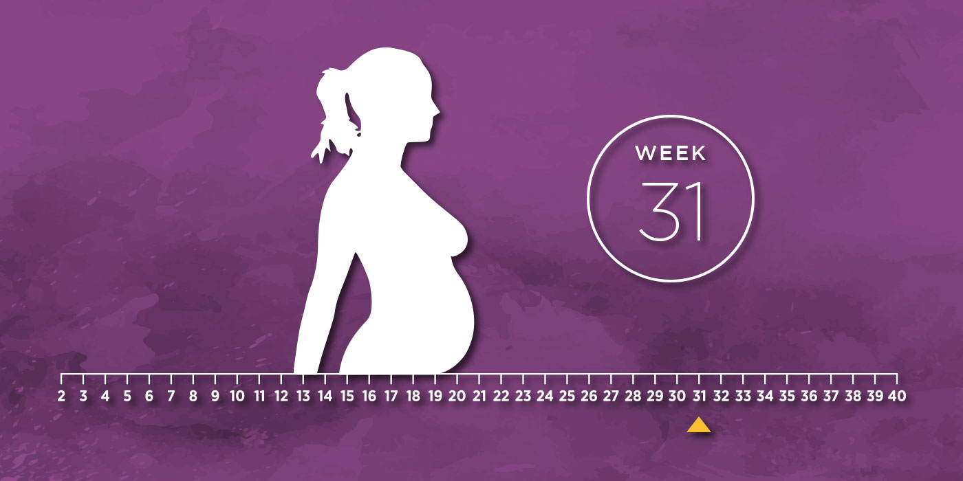 Week 31 of Pregnancy? An update on you and your little one. | Cloudnine ...