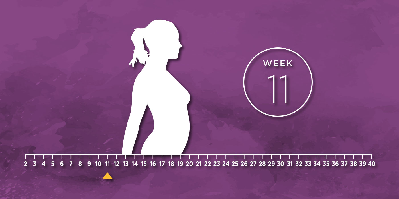 11 Weeks Pregnant: Welcome To The 11th Week - Things To Remember ...