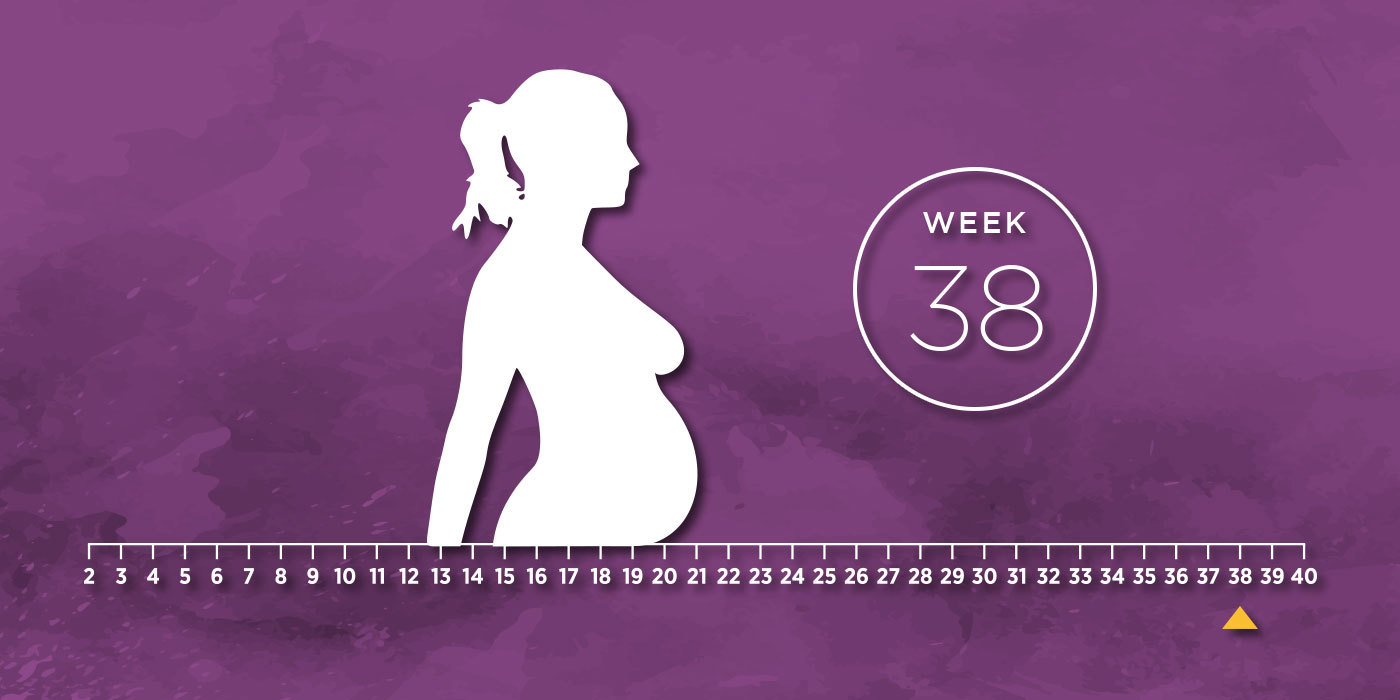 Hey, Week 38 of pregnancy? Here's everything you need to know about the ...