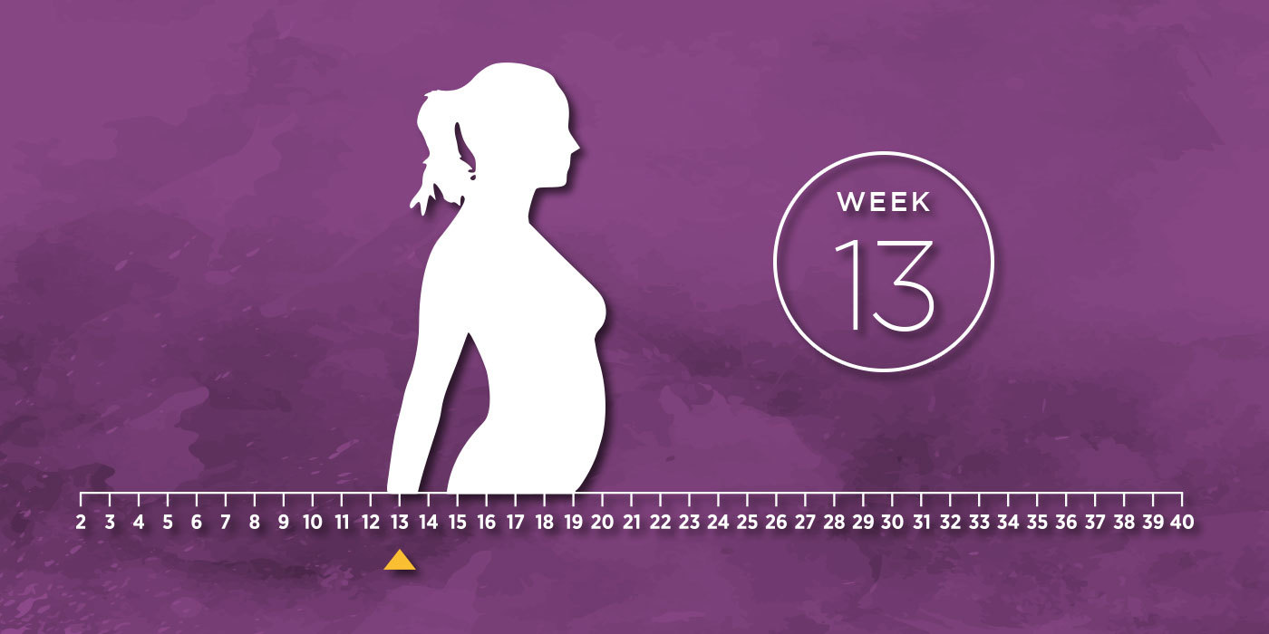 Week 13 Of Your Pregnancy | Tips For Expectant Mom & Dad | Cloudnine Blog