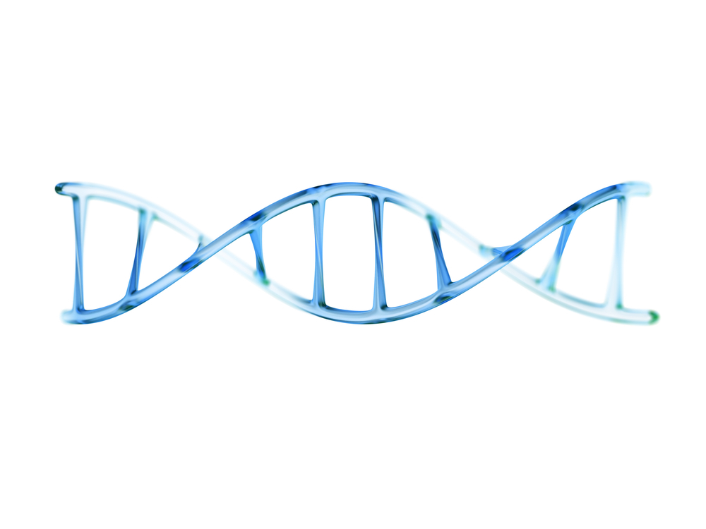 What Is DNA Fragmentation Index