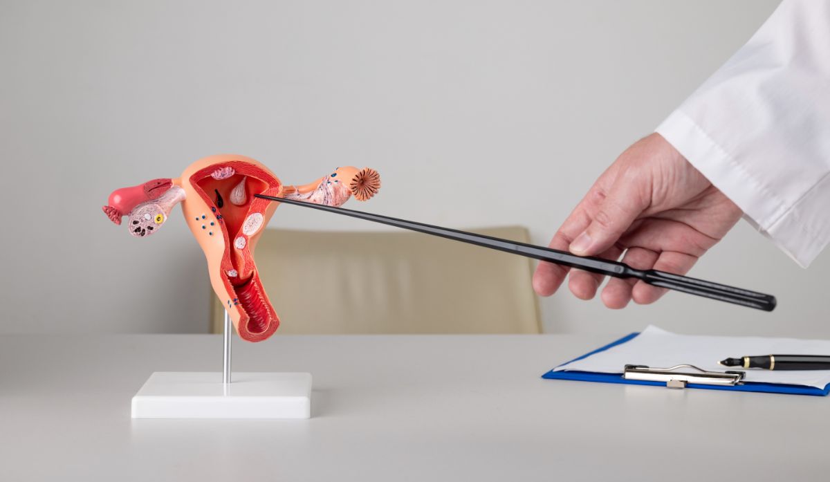 IUI (Intrauterine Insemination) or IVF (In Vitro Fertilization)