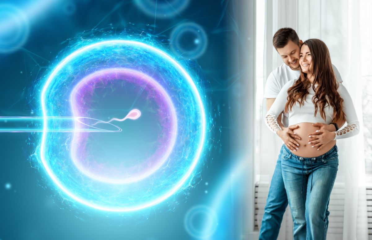 IUI (Intrauterine Insemination) or IVF (In Vitro Fertilization)