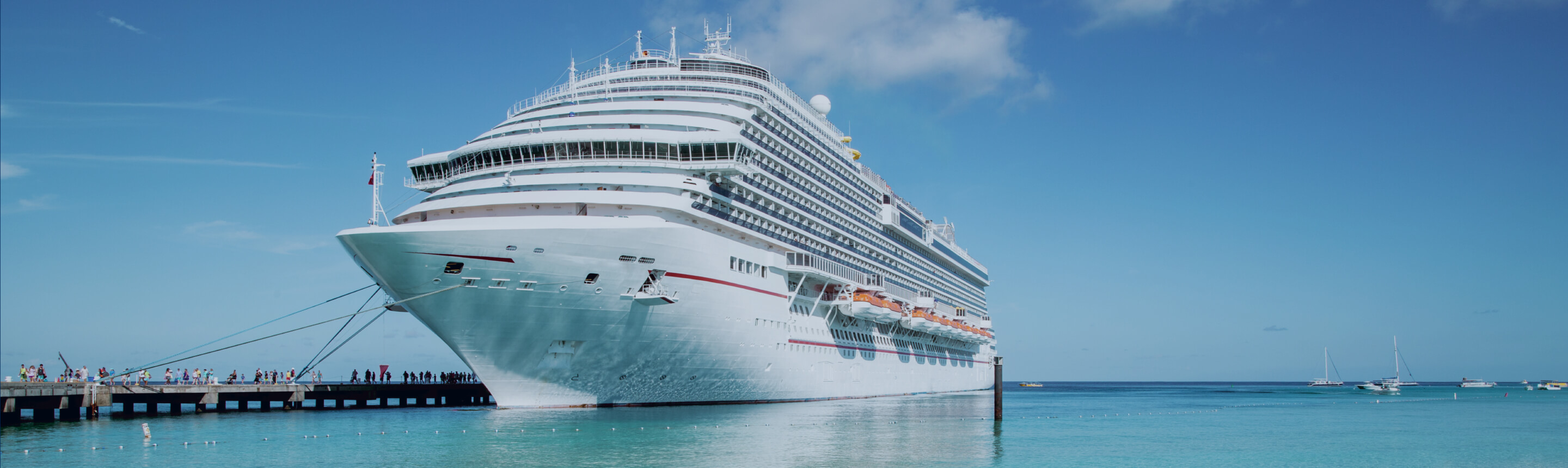 About Cruises for Less