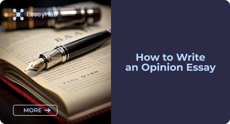 How to Write an Opinion Essay Guide and 100+ Topics - EssayHub blog