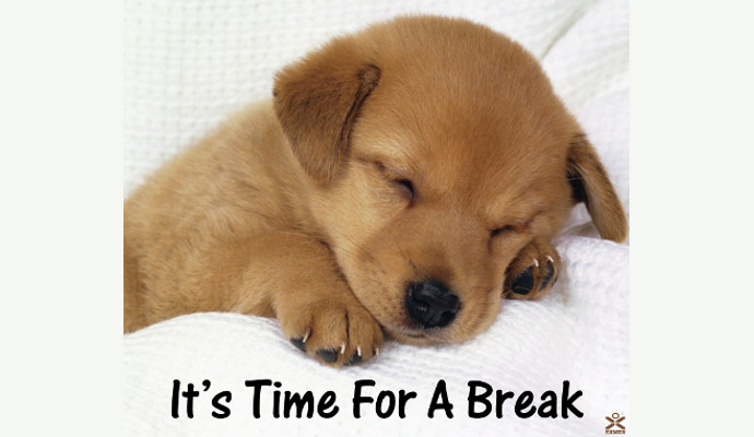 10 Ways Caregivers Can Take a Quick Break Right Now | CareLinx
