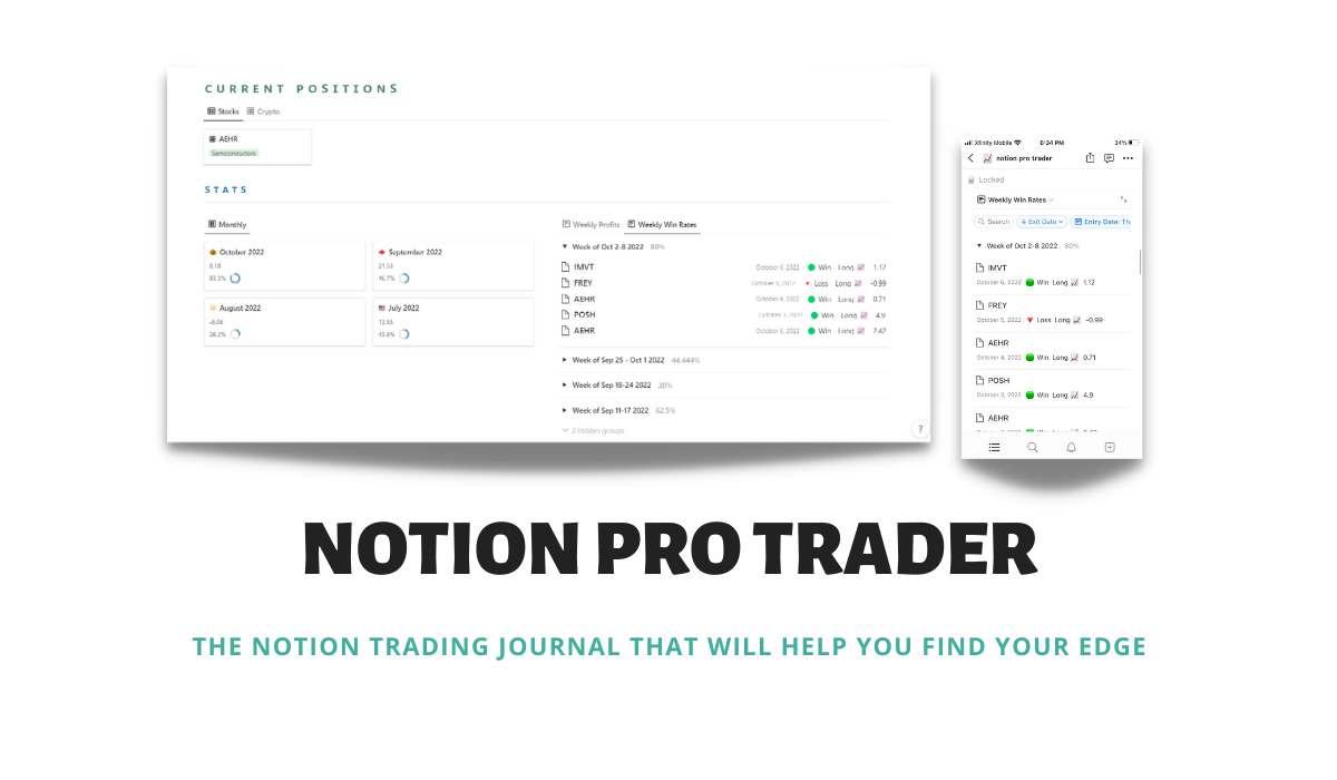 Notion Pro Trader | Notion Everything