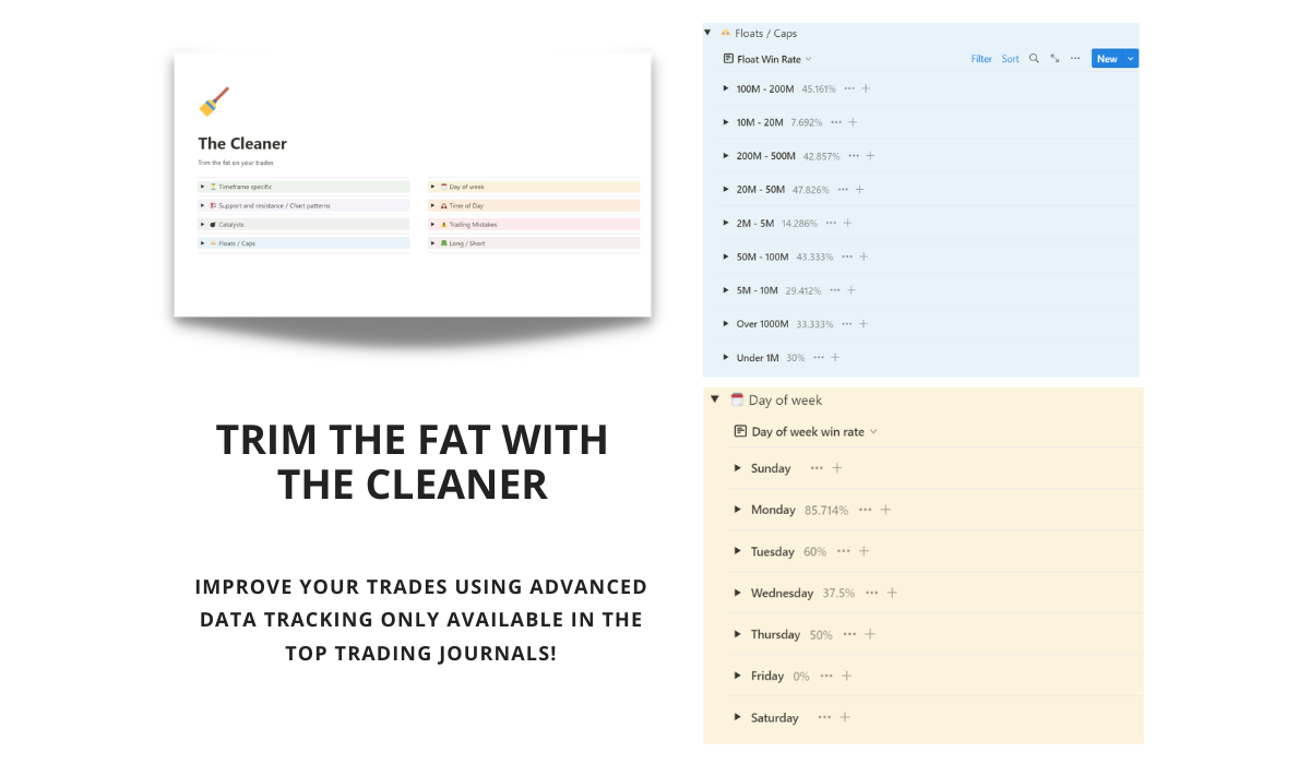 Notion Pro Trader | Notion Everything