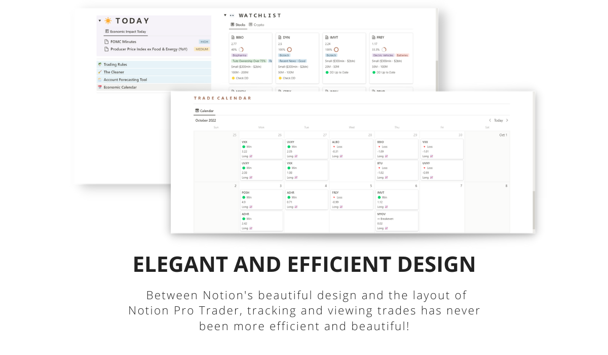 Notion Pro Trader | Notion Everything