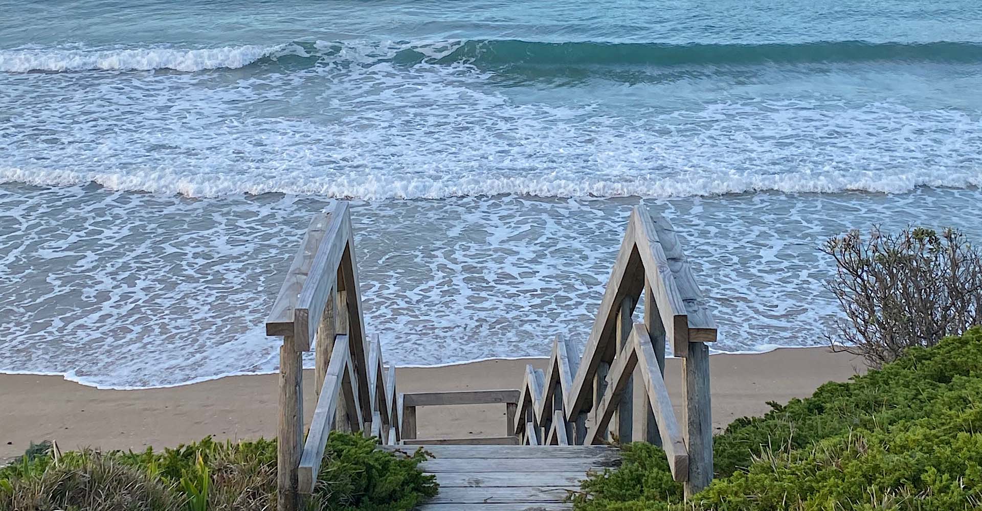 My octopus friend | Ensemble Magazine