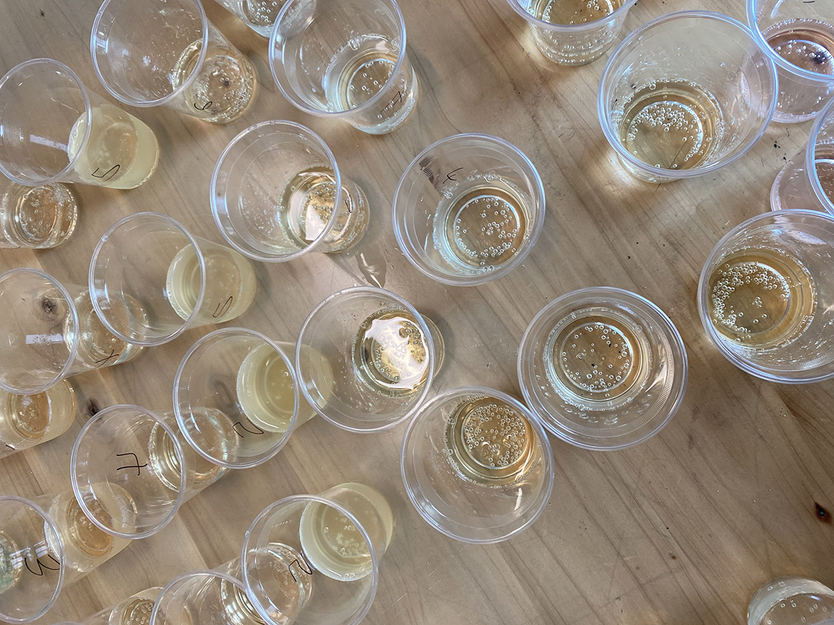 9 bottles of festive fizz, blind taste-tested and ranked | Ensemble ...