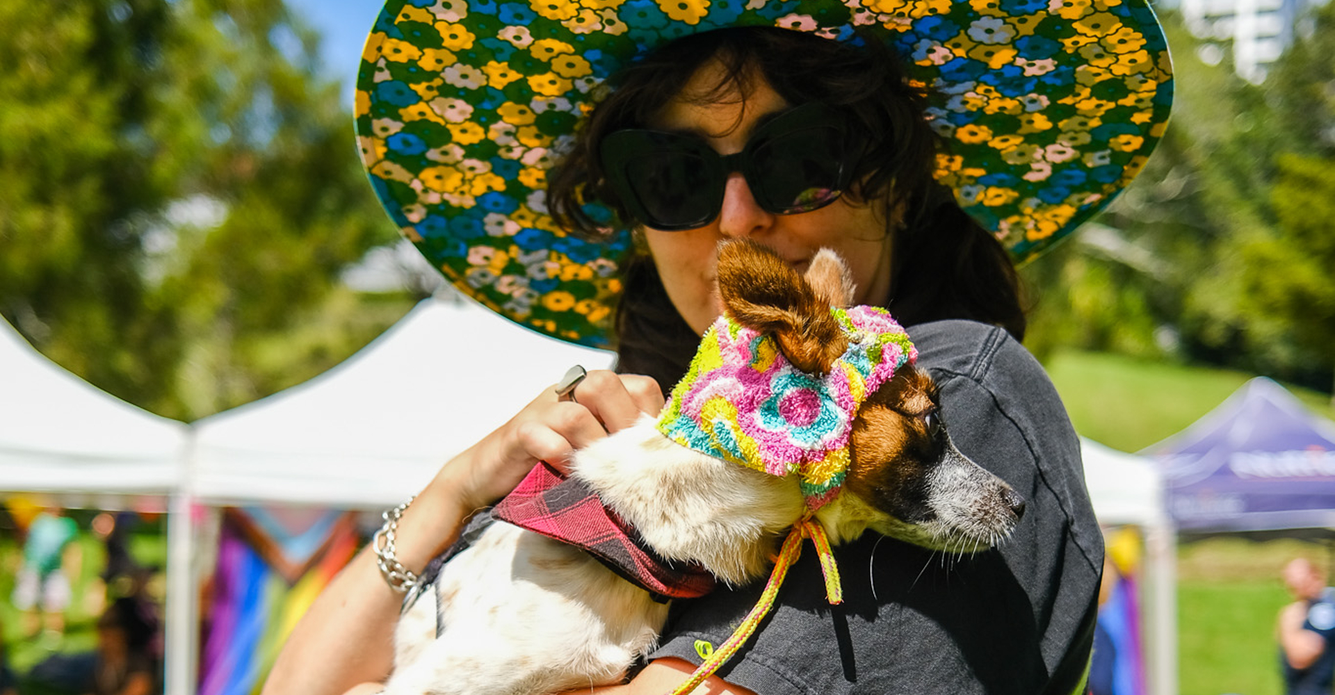 Cute dogs at Woof! The Auckland Rainbow Dog Show | Ensemble Magazine