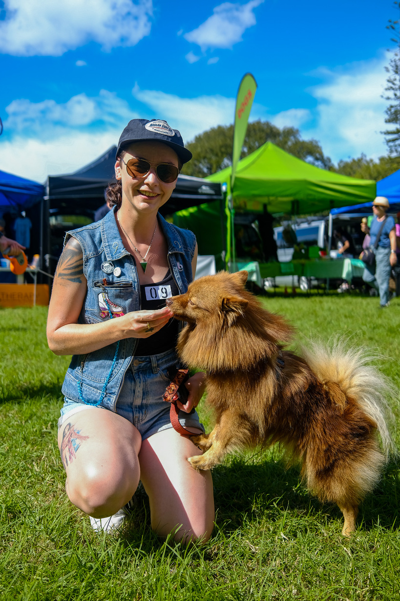 Cute dogs at Woof! The Auckland Rainbow Dog Show | Ensemble Magazine