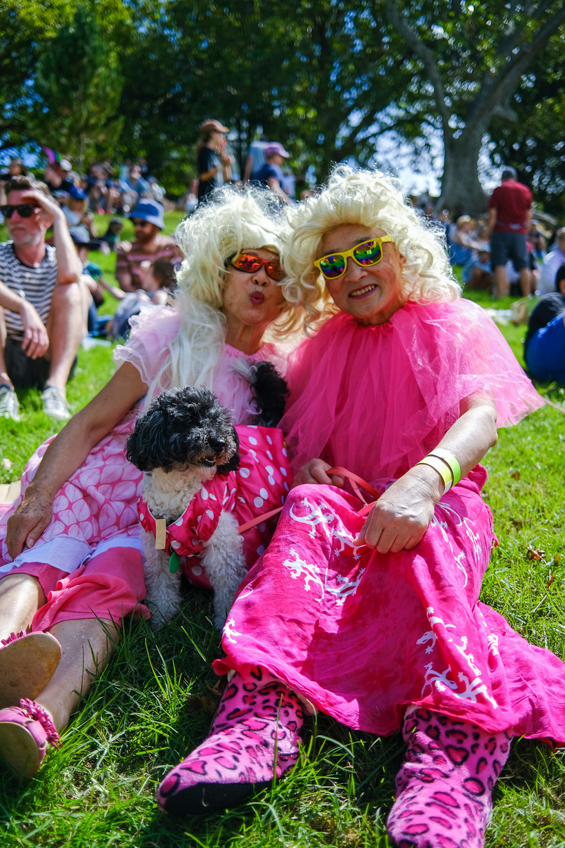 Cute dogs at Woof! The Auckland Rainbow Dog Show | Ensemble Magazine