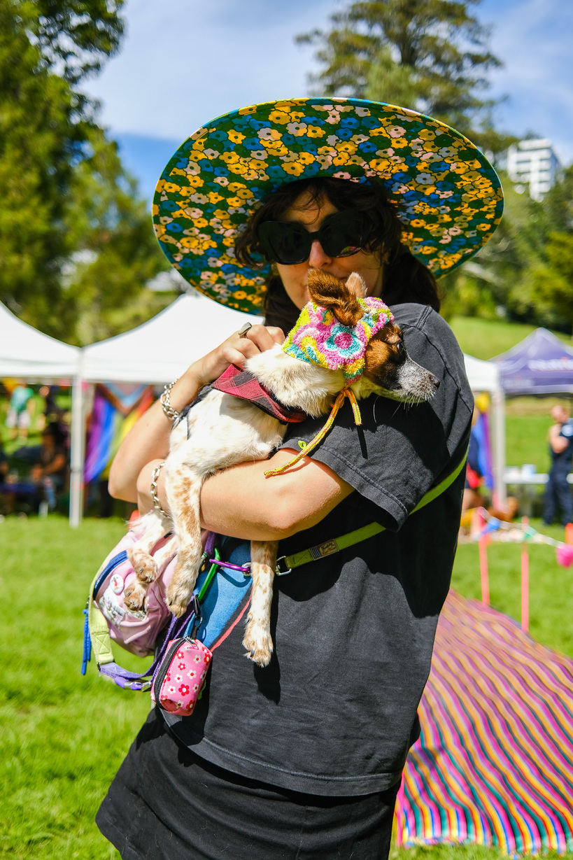 Cute dogs at Woof! The Auckland Rainbow Dog Show | Ensemble Magazine