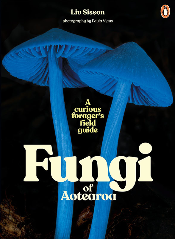 An expert’s guide to foraging for fungi in Aotearoa | Ensemble Magazine