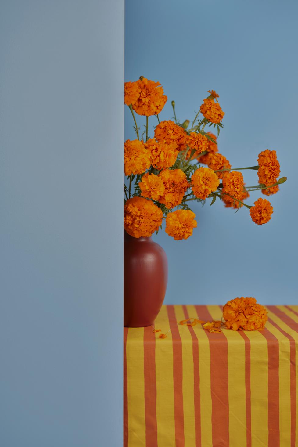 Embrace a vibe shift with the transformative power of paint | Ensemble ...